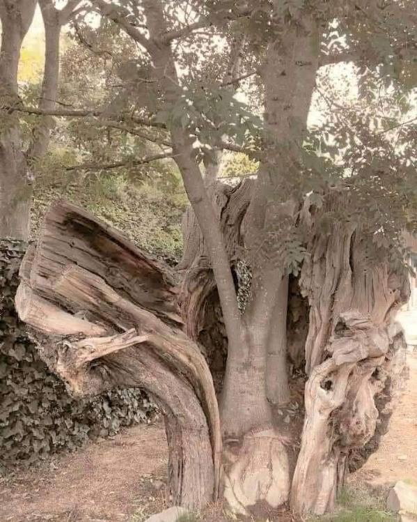 Grateful to Understand When It Is Enough! | Gratitude Squared